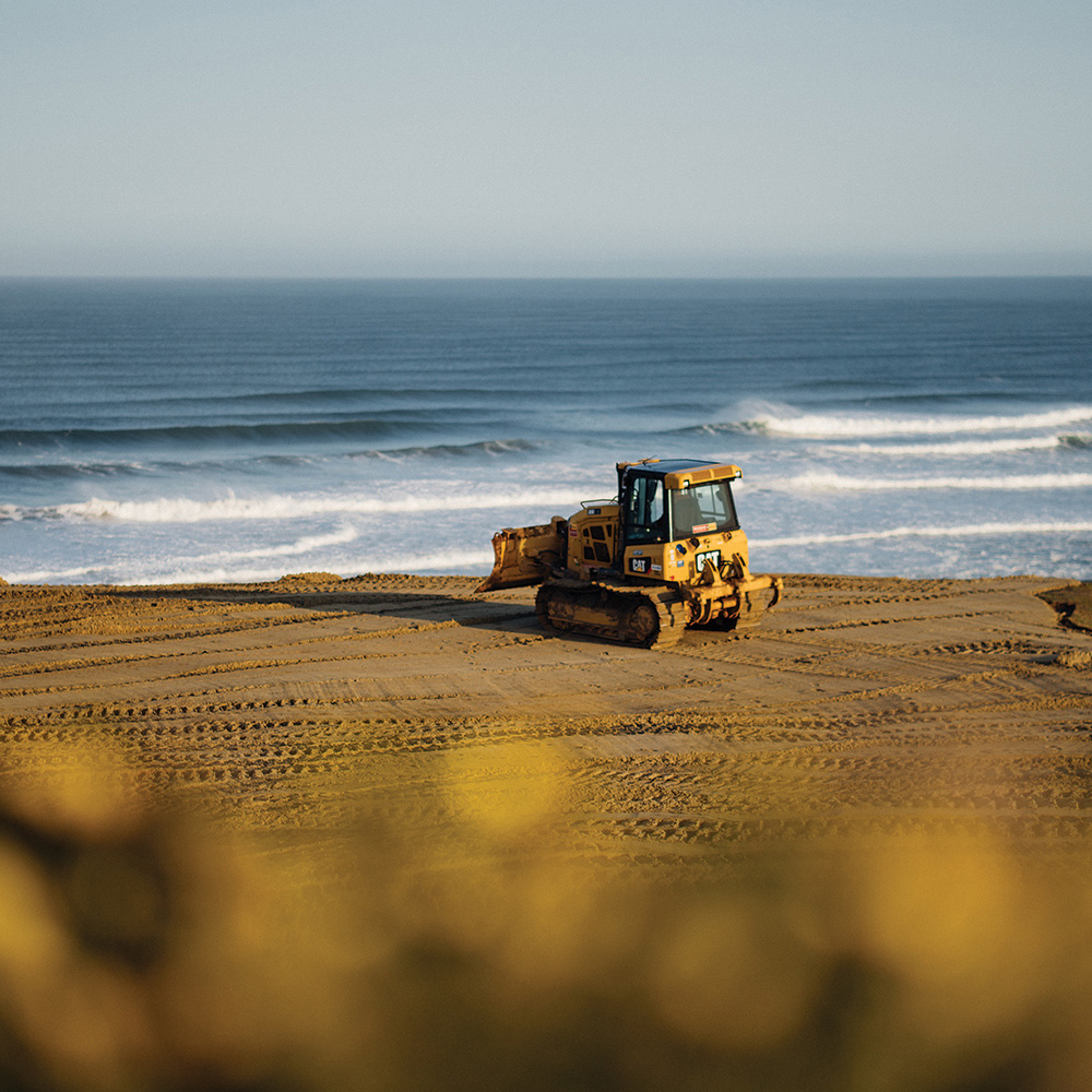 Seeds – Landing – Dream Golf